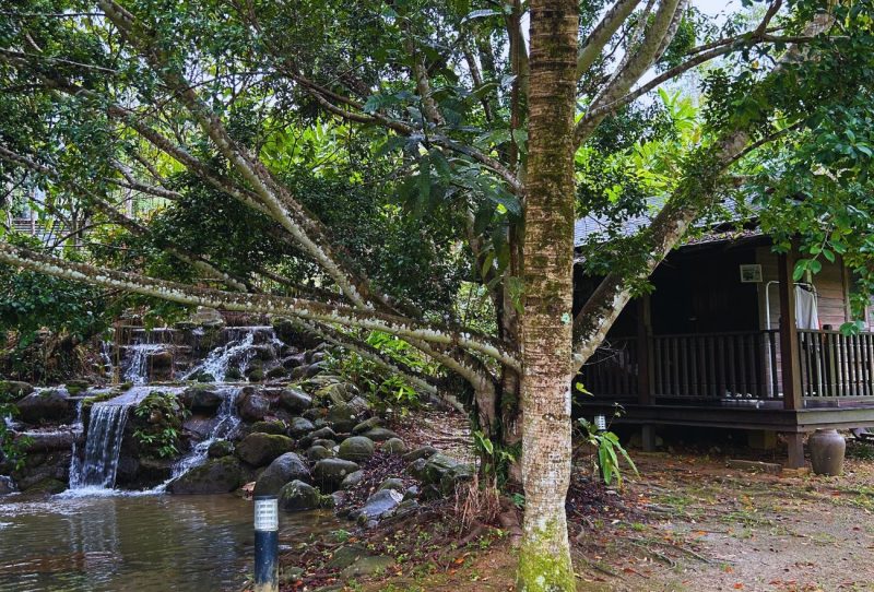 Chengal Hill Retreat - The HIP Life