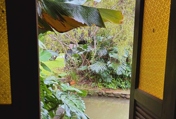 Chengal Hill Retreat - The HIP Life