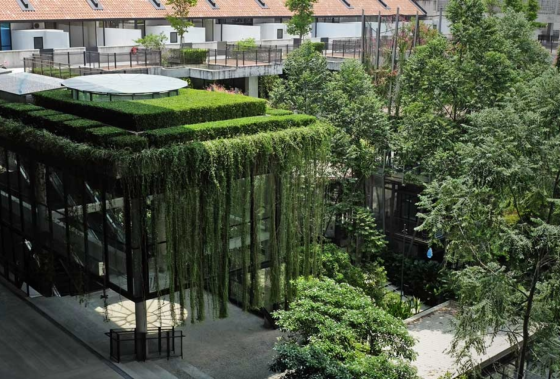 The Charm of Tamarind Square: Where Nature Meets Culture in Cyberjaya ...
