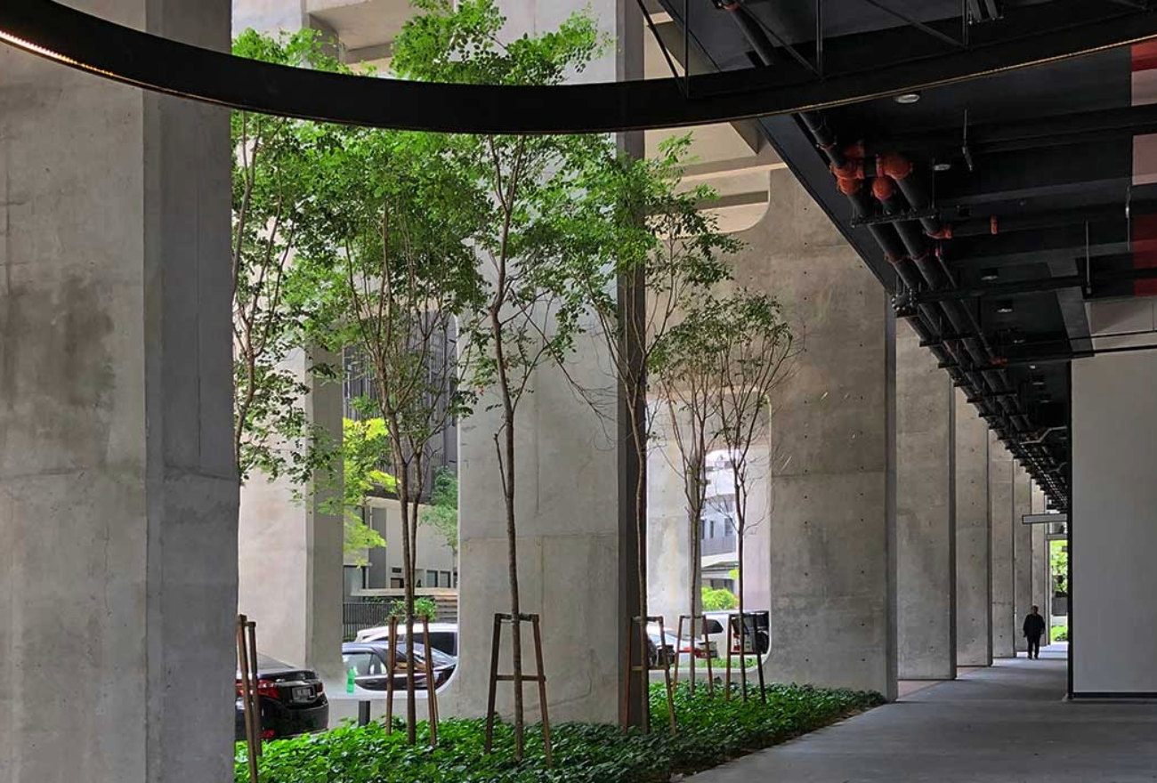 The Charm of Tamarind Square: Where Nature Meets Culture in Cyberjaya ...